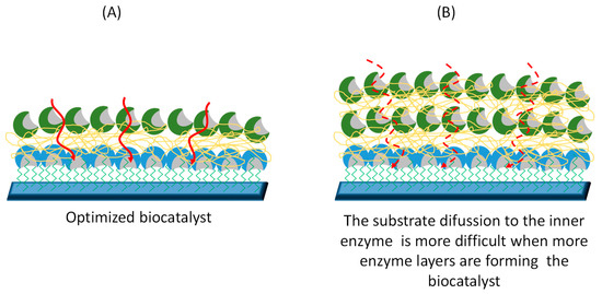 Catalysts | Free Full-Text | Co-Enzymes with Dissimilar Stabilities: A ...