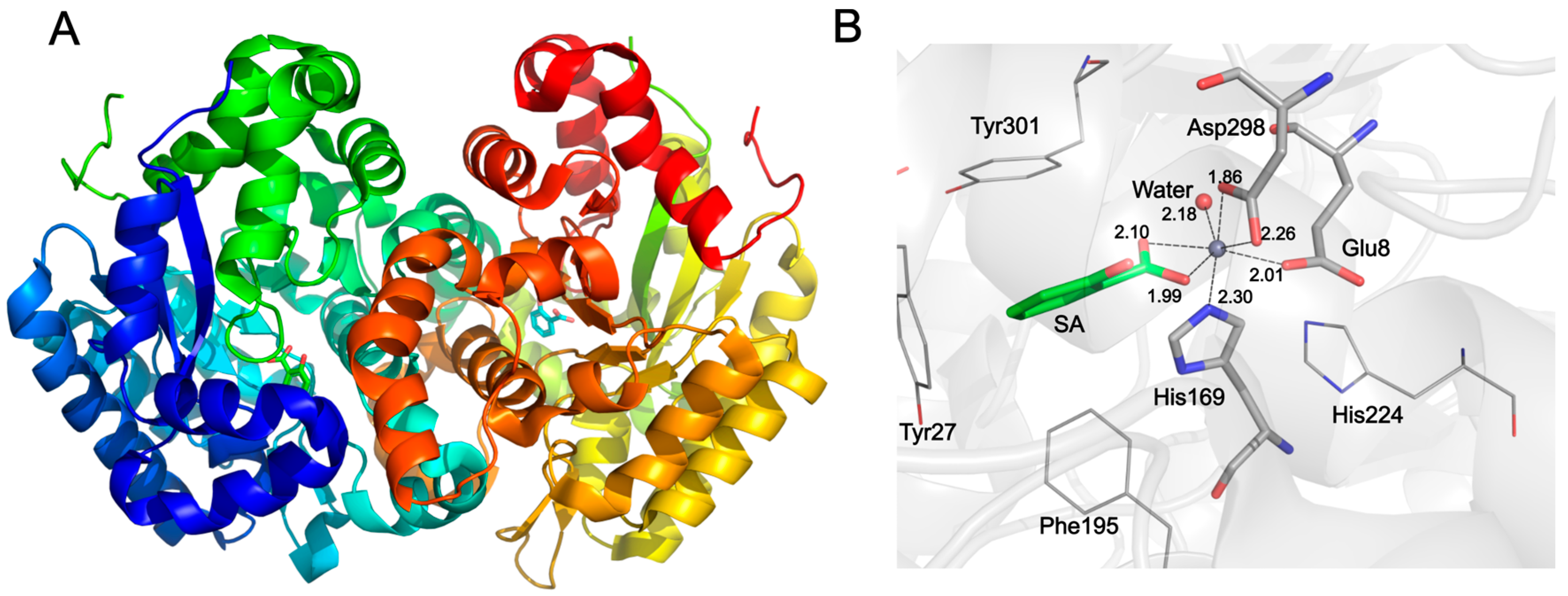 A Combined Computational–Experimental Study on the Substrate Binding ...