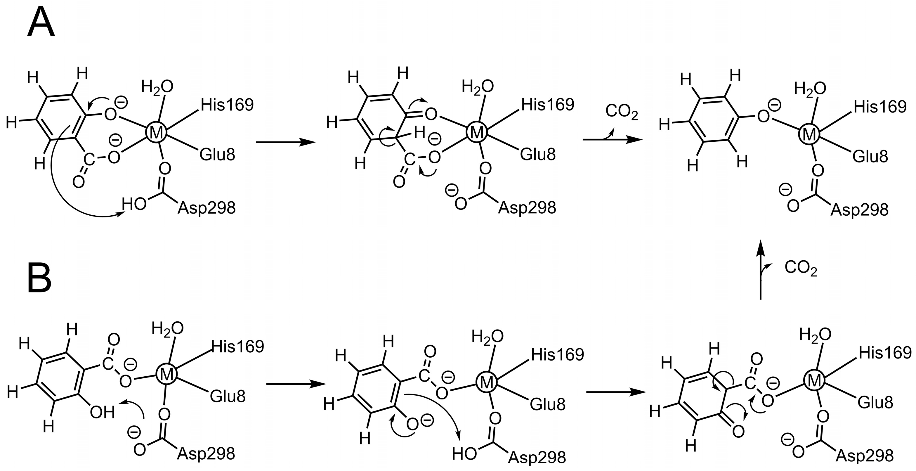 A Combined Computational–Experimental Study on the Substrate Binding ...