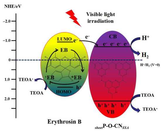 Design and Architecture of P-O Co-Doped Porous g-C3N4 by Supramolecular ...