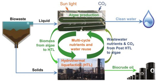 Hydrothermal Liquefaction of Lignocellulosic and Protein-Containing ...