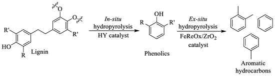 Catalytic Hydropyrolysis of Lignin for the Preparation of Cyclic ...