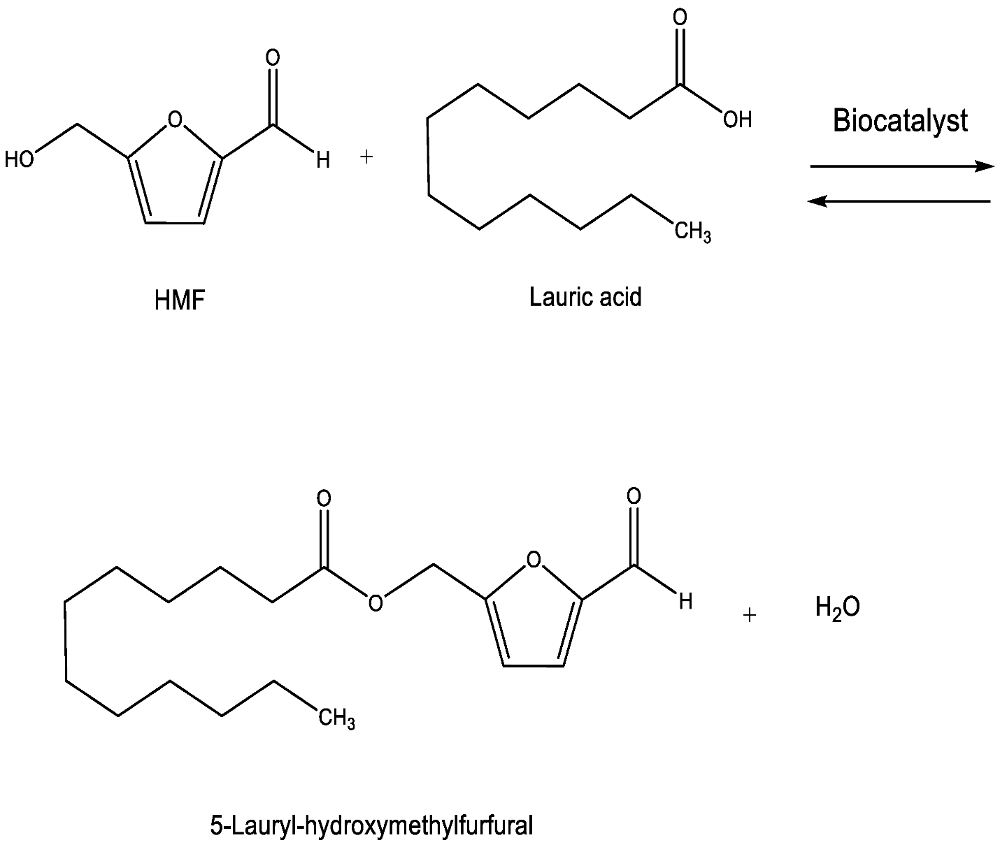 Lauric Acid Lewis Structure