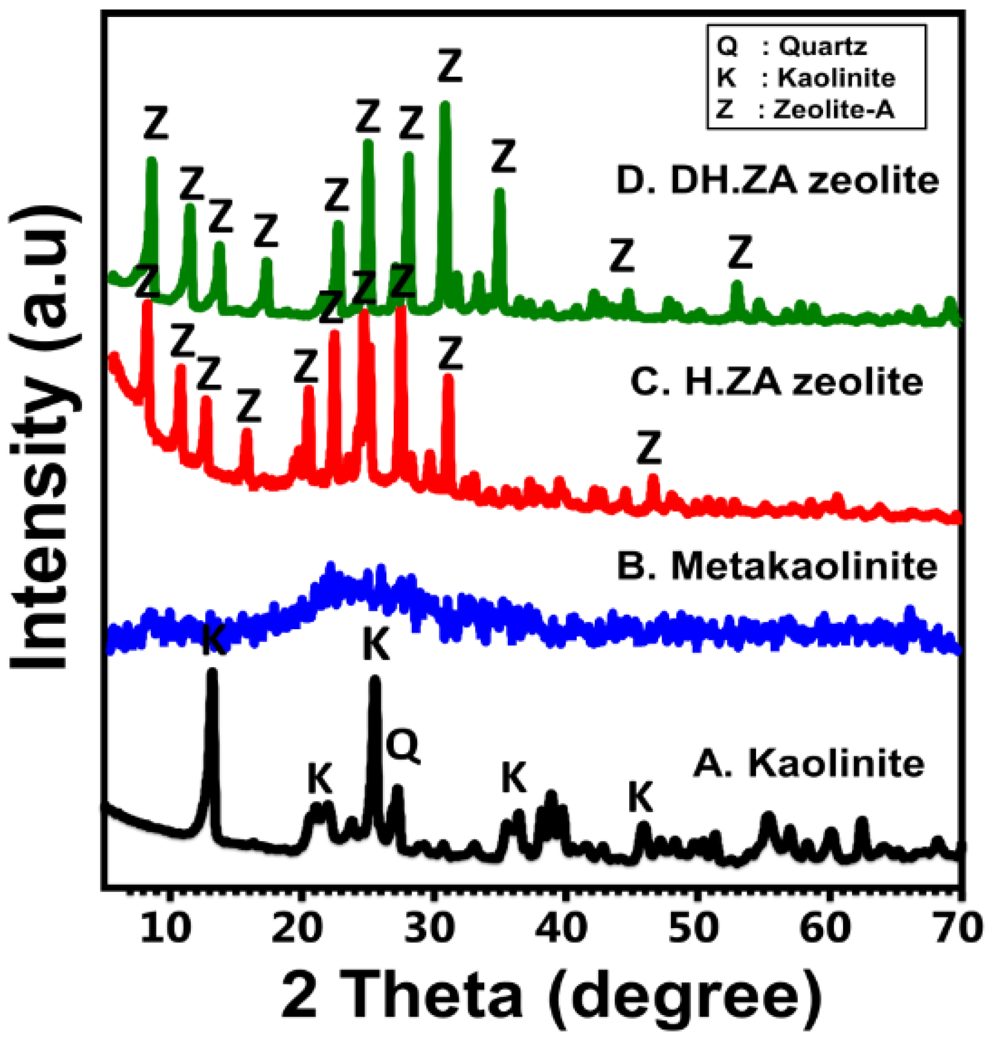 Kinetic, Thermodynamic, and Mechanistic Studies on the Effect of the ...
