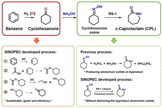 Catalytic Production of Functional Monomers from Lysine and Their Application in High-Valued ...