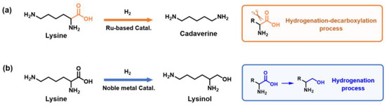 Catalytic Production of Functional Monomers from Lysine and Their ...