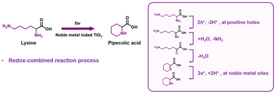 Catalytic Production of Functional Monomers from Lysine and Their Application in High-Valued ...