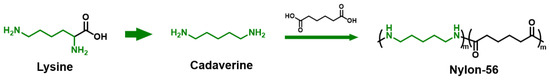 Catalytic Production of Functional Monomers from Lysine and Their ...
