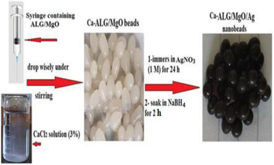 Synthesis and Characterization of Ca-ALG/MgO/Ag Nanocomposite Beads for ...