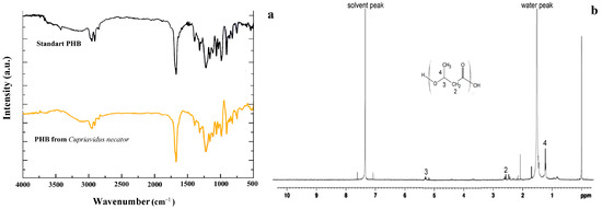 Transformation of Enzymatic Hydrolysates of Chlorella–Fungus Mixed ...