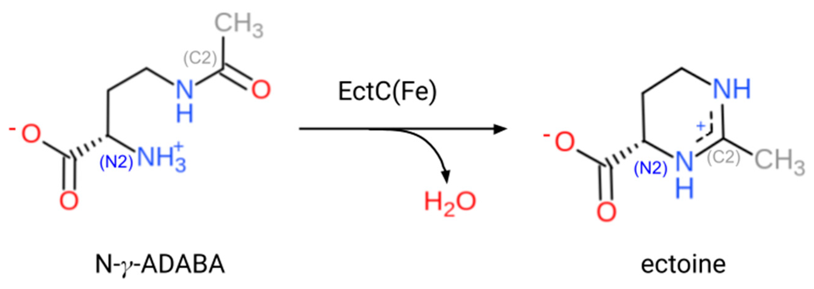 Molecular Dynamics Simulations for the Michaelis Complex of Ectoine ...
