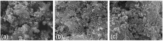 Template-Assisted SnO2: Synthesis, Composition, and ...