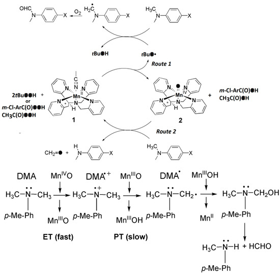 Oxidative N-Dealkylation of N,N-Dimethylanilines by Non-Heme Manganese ...