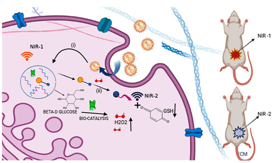 Role and Application of Biocatalysts in Cancer Drug Discovery