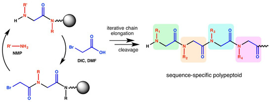 A Review on the Synthesis of Polypeptoids