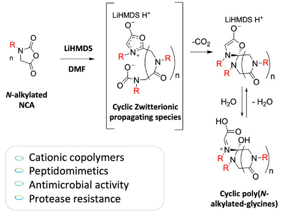 A Review on the Synthesis of Polypeptoids