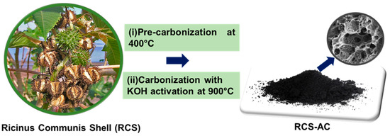 Investigation of Different Aqueous Electrolytes for Biomass-Derived ...