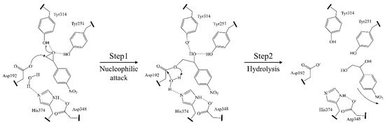 Recent Progress in the Mechanism and Engineering of α/β Hydrolases for ...