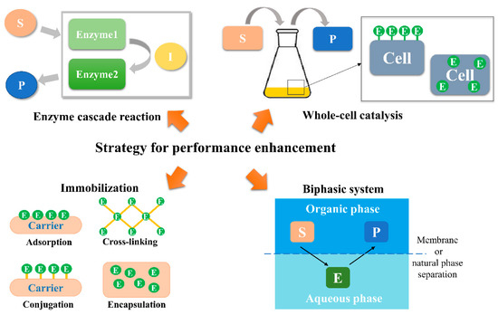 Recent Progress in the Mechanism and Engineering of α/β Hydrolases for ...