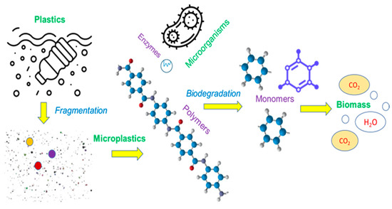 Biodegradation of Different Types of Bioplastics through Composting—A Recent Trend in Green ...