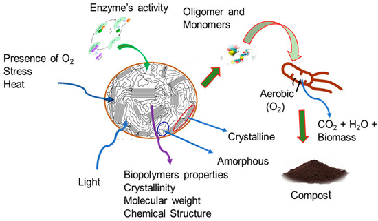 Biodegradation of Different Types of Bioplastics through Composting—A ...