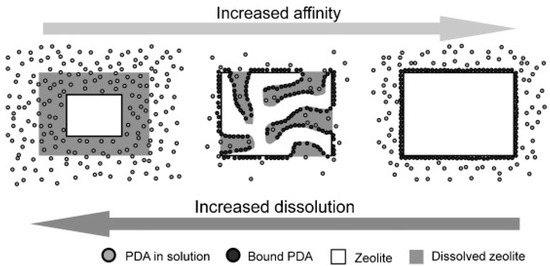 Hierarchical Zeolite Synthesis by Alkaline Treatment: Advantages and Applications