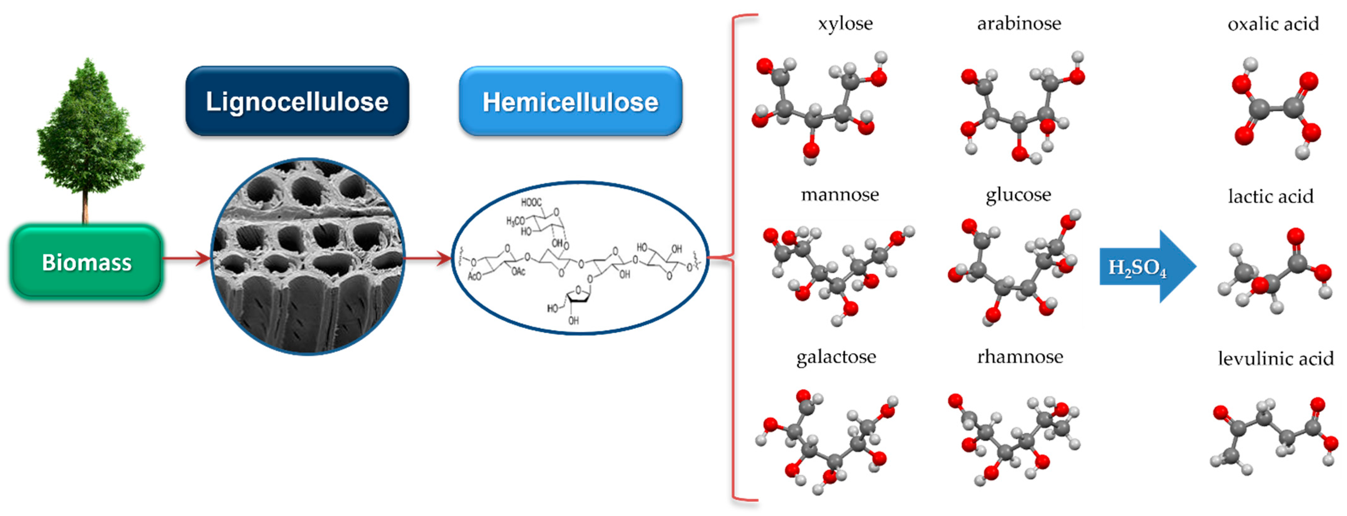 Catalytic Transformation of Biomass-Derived Hemicellulose Sugars by the One-Pot Method into ...