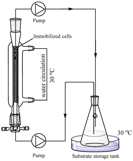 Highly Efficient Biosynthesis of Nicotinic Acid by Immobilized Whole ...