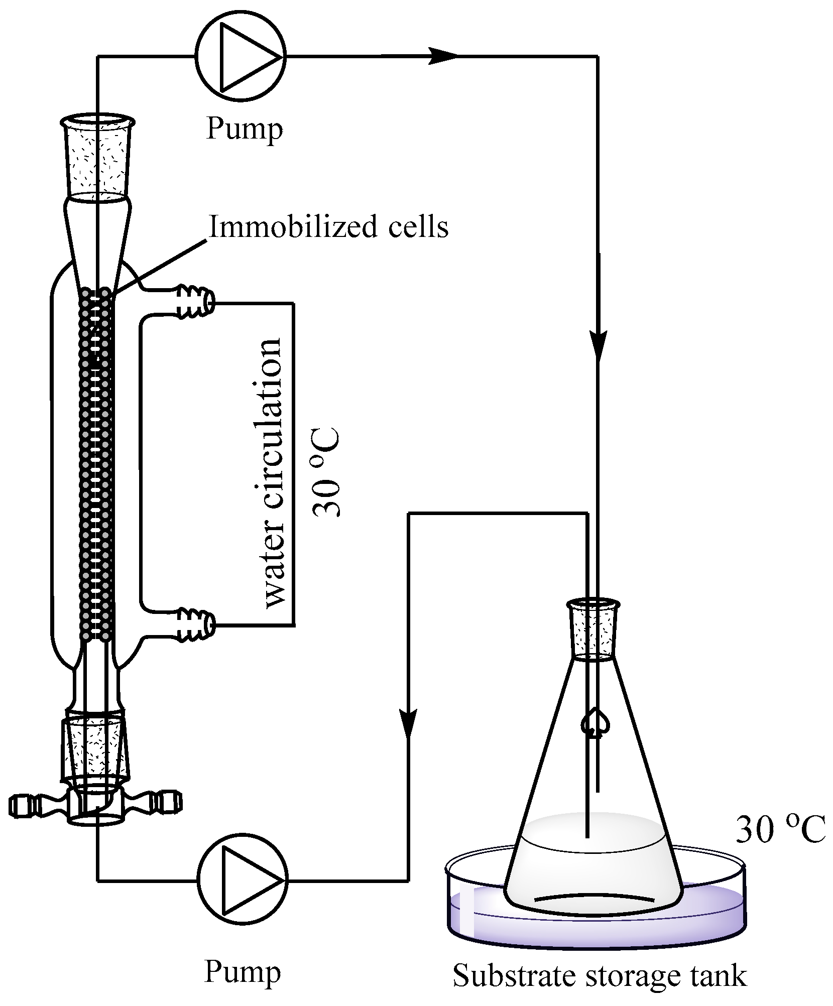 Catalysts | Free Full-Text | Highly Efficient Biosynthesis of Nicotinic Acid by Immobilized ...