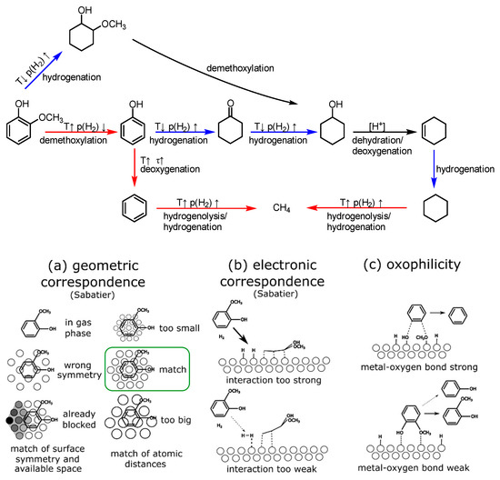 Impact of Geometric and Electronic Factors on Selective Hydro ...