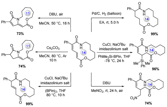 Transition-Metal-Catalyzed C–C Bond Macrocyclization via Intramolecular C–H Bond Activation