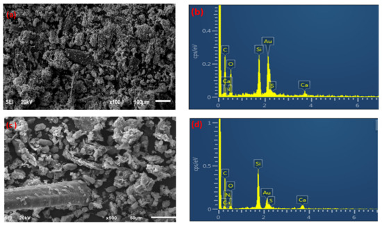 Biochar Derived from Palm Waste Supported Greenly Synthesized MnO2 ...