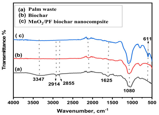 Biochar Derived from Palm Waste Supported Greenly Synthesized MnO2 ...