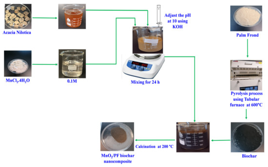 Biochar Derived from Palm Waste Supported Greenly Synthesized MnO2 ...