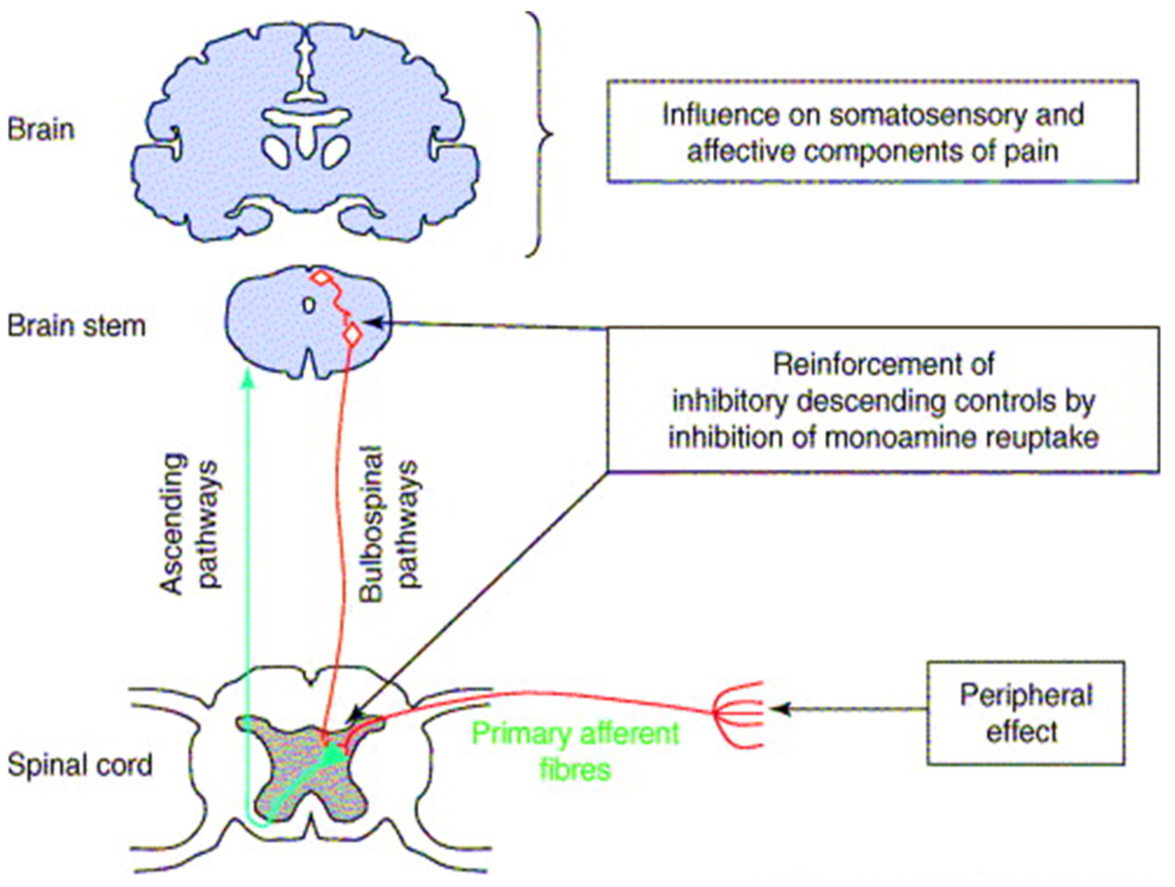 Environmentally Benign Nanoparticles for the Photocatalytic Degradation ...