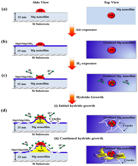 On the Catalytic Mechanism of 3d and 4d Transition-Metal-Based ...
