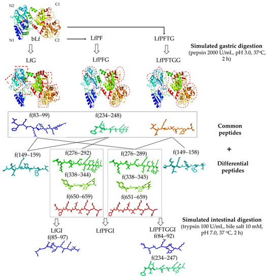 Improving Effects of Laccase-Mediated Pectin–Ferulic Acid Conjugate and ...