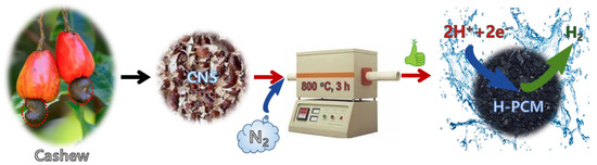 Biowaste-Derived Heteroatom-Doped Porous Carbon as a Sustainable ...