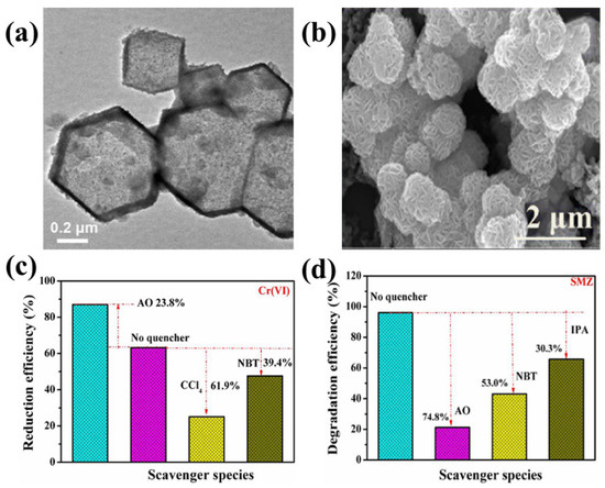 Recent Developments and Perspectives of Cobalt Sulfide-Based Composite ...