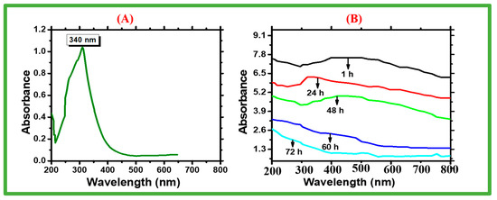 Green Synthesis of Zinc Oxide Nanoparticles Using Nostoc sp. and Their ...