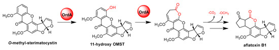 Multifunctional Enzymes in Microbial Secondary Metabolic Processes