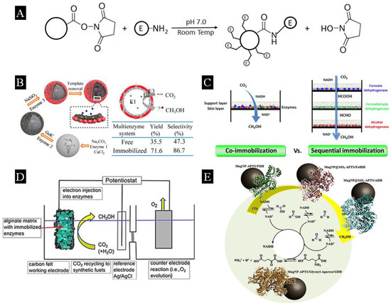 A Review on the Progress in Chemo-Enzymatic Processes for CO2 ...