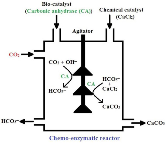 A Review on the Progress in Chemo-Enzymatic Processes for CO2 ...