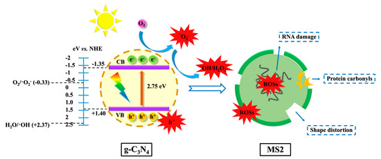 Nanomaterials Aspects for Photocatalysis as Potential for the ...