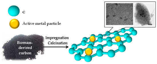 Plant-Biomass-Derived Carbon Materials as Catalyst Support, A Brief Review