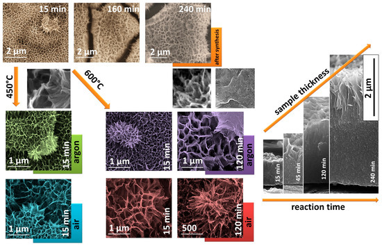 3D Flower-like TiO2 Nanostructures: Anatase-To-Rutile Phase ...