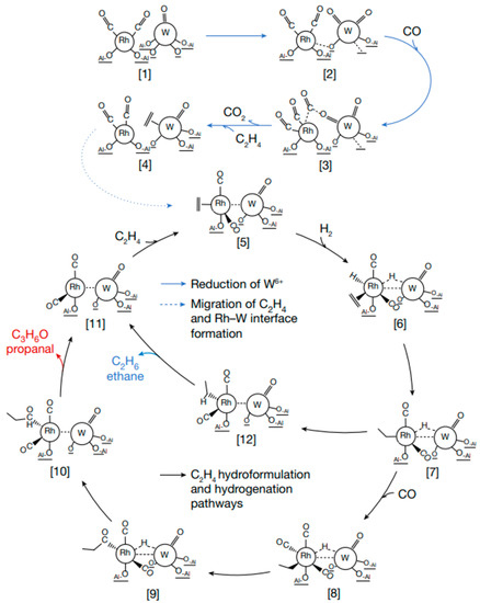 Recent Development of Single-Atom Catalysis for the Functionalization ...