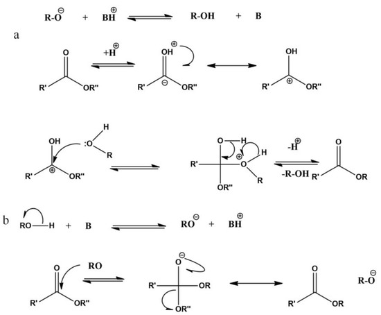 Enabling Catalysts for Biodiesel Production via Transesterification