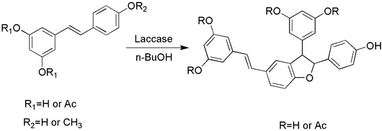 Application of Laccase Catalysis in Bond Formation and Breakage: A Review