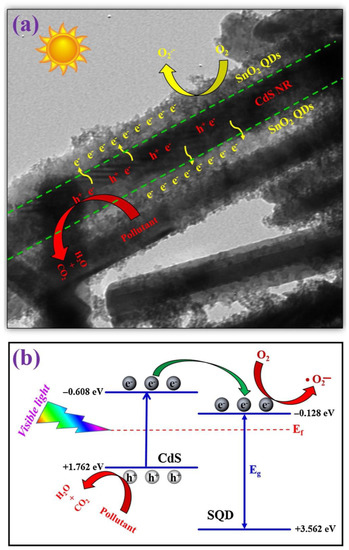 Recent Progress in the Use of SnO2 Quantum Dots: From Synthesis to ...
